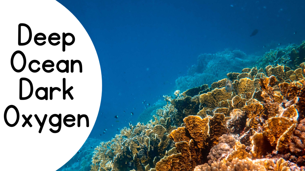 Deep Ocean Dark Oxygen समुद्र तल से 13,000 फीट नीचे गहरे समुद्र में 'डार्क' ऑक्सीजन पाया गया ...